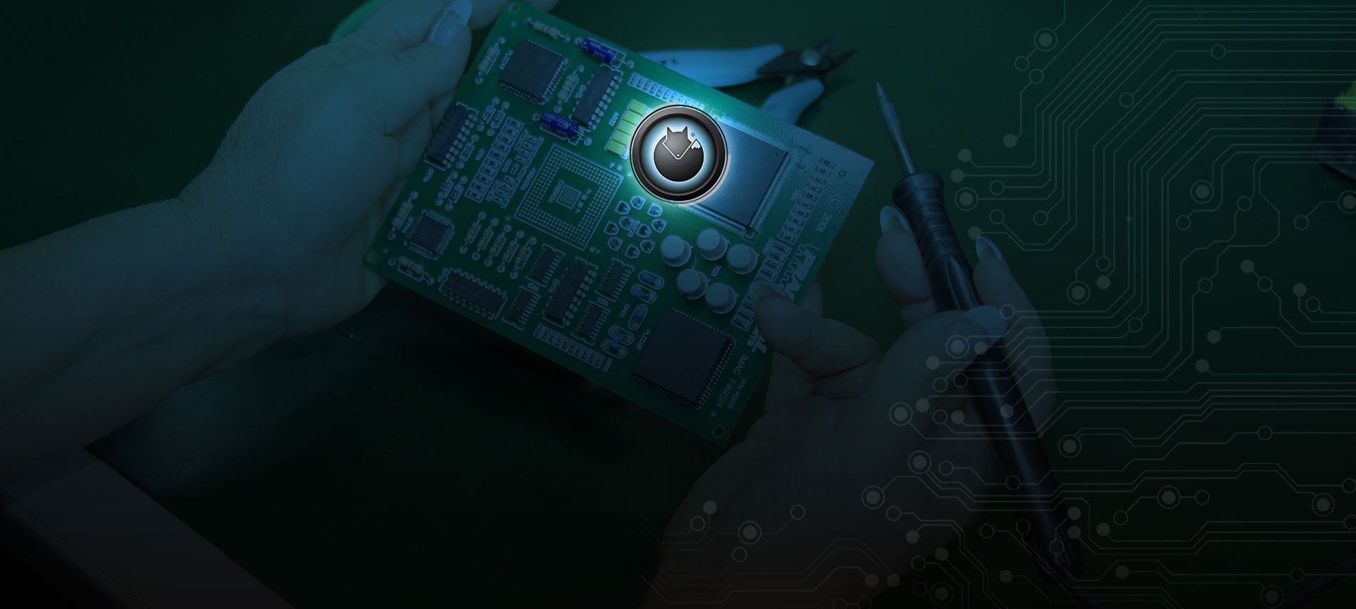 The Premier Training and Certification - Blackfox.com